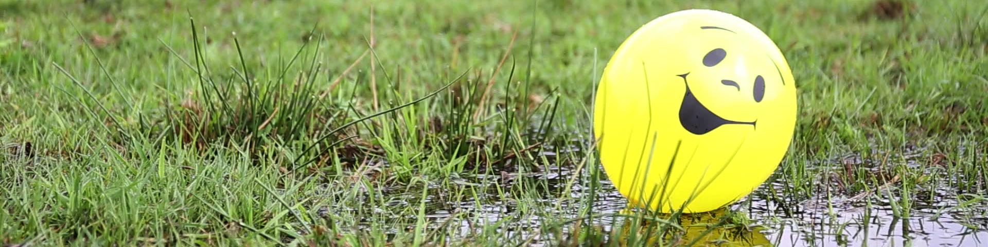 Lebensschule geht weiter – ab 7. Februar in Heide – Lebensschule Heide